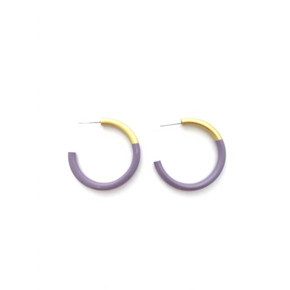 ACCESSORY JANE | Jewelry | New Accessory Jane Colored Hoop Earrings In ...